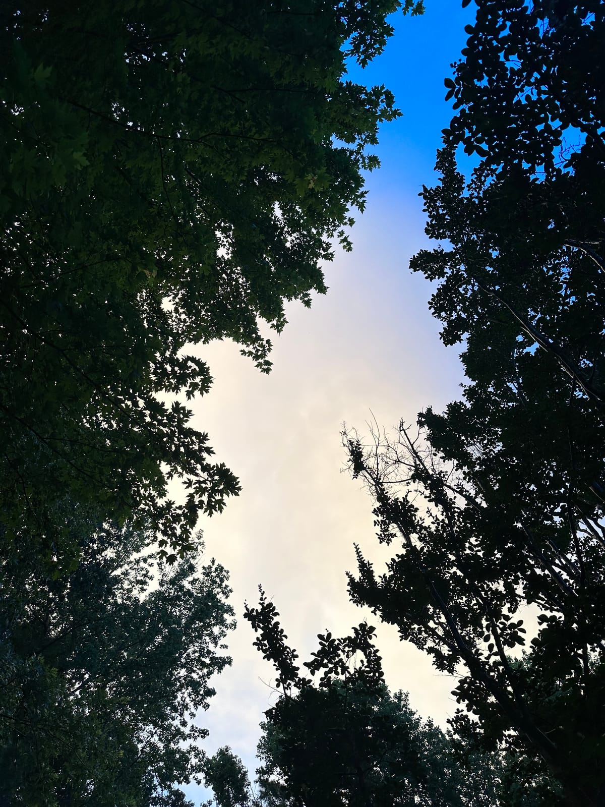 By Way of Reminder :: The Rev. Brent Levy